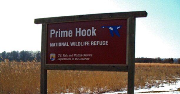 Prescribed Burning Announced at Bombay Hook and Prime Hook National ...