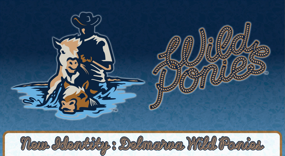 Delmarva Shorebirds Announce Temporary Name Change | Latest News | wboc.com
