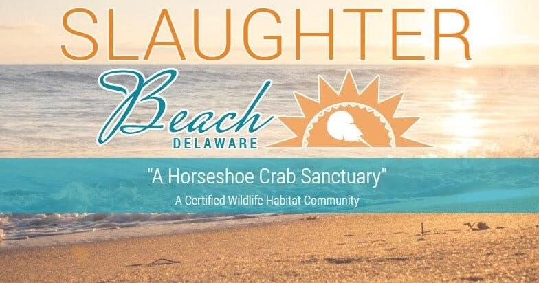 New Boardwalk In Slaughter Beach | Delaware News | wboc.com