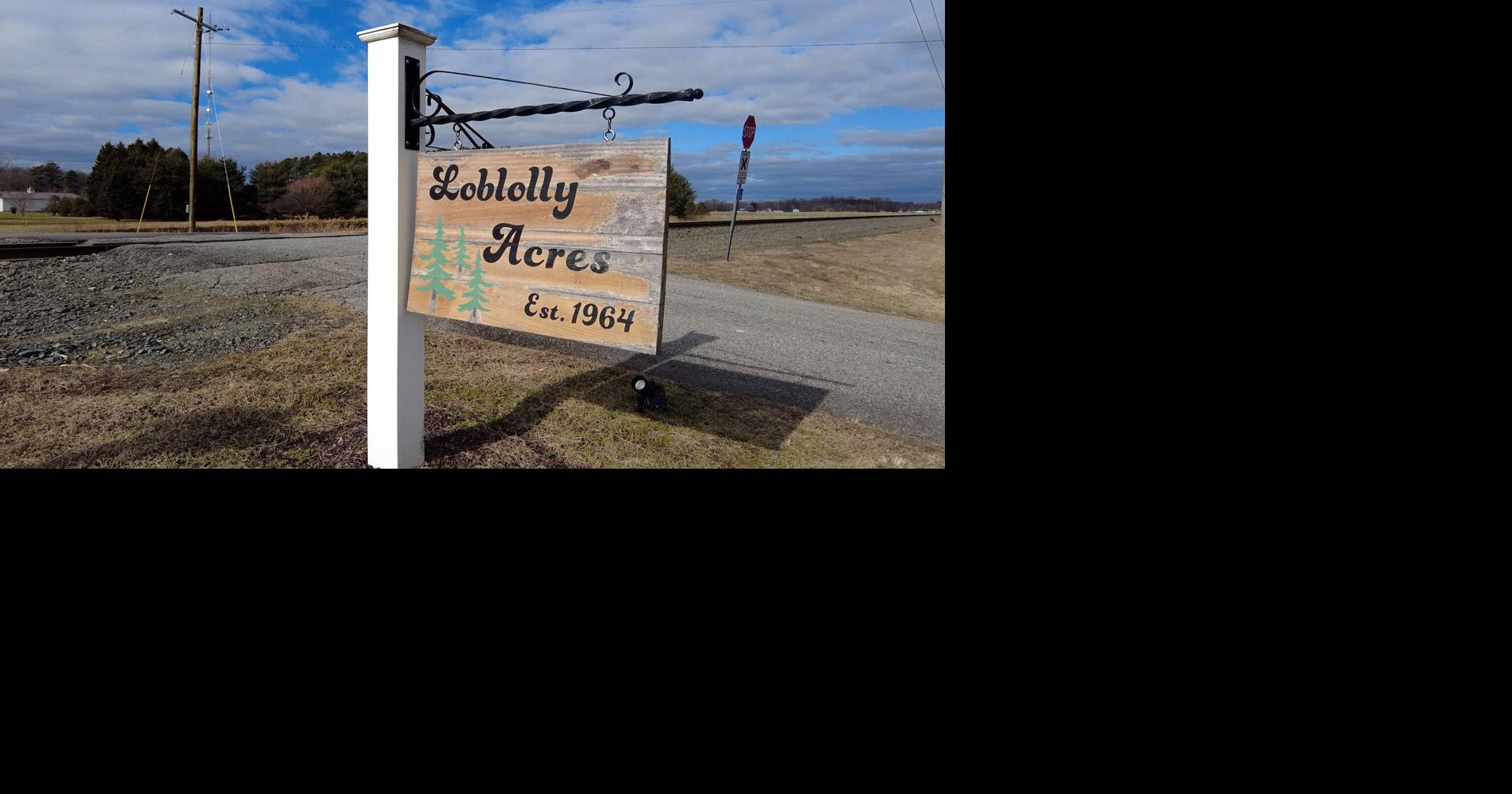 Loblolly Acres Looks Emphasize Music and Arts in 2023 | Latest News ...