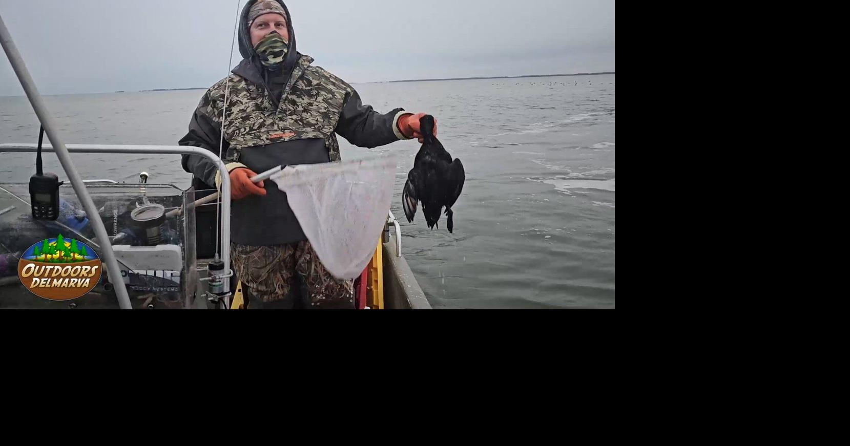 Sea Duck Hunt with Fin N Feather Chesapeake | Outdoors Delmarva | wboc.com