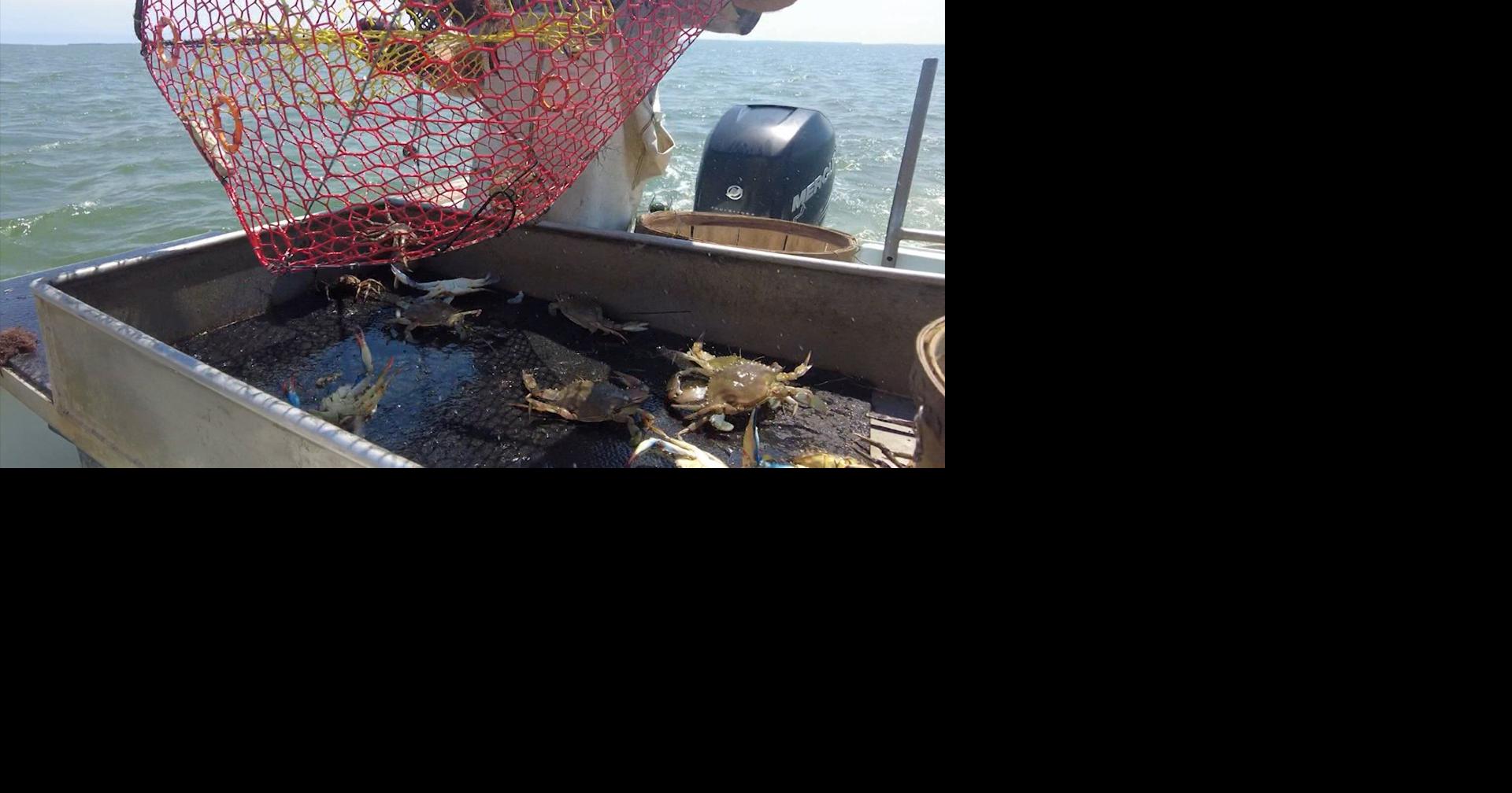 We Get The Full Shrimp Boat Experience As We See How They Get Their ...