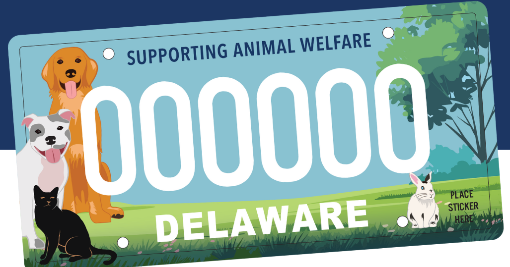 Delaware Office of Animal Welfare Announces New License Plate | Latest ...