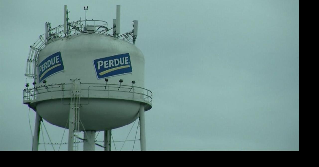 We Speak To CEO Of Perdue Farms, Randy Day Following His Distinguished ...