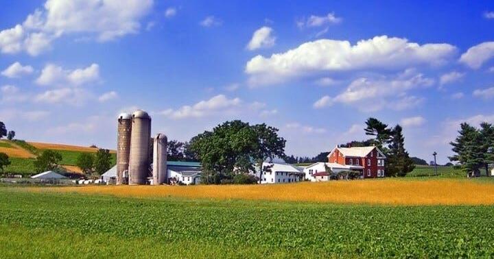 Over 1,700 Acres of Eastern Shore Farmland Permanently Preserved ...