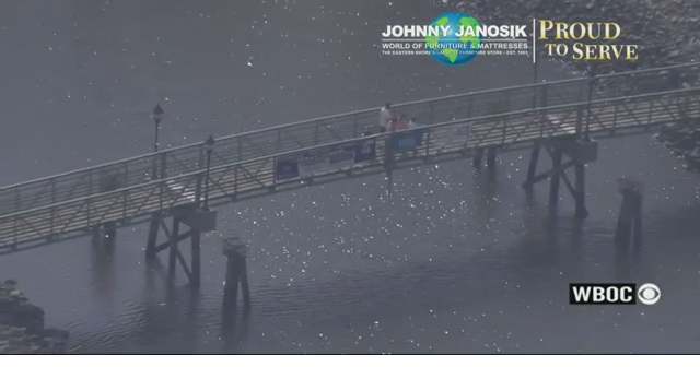 Proud to Serve: Mispillion Riverwalk | Proud To Serve | wboc.com