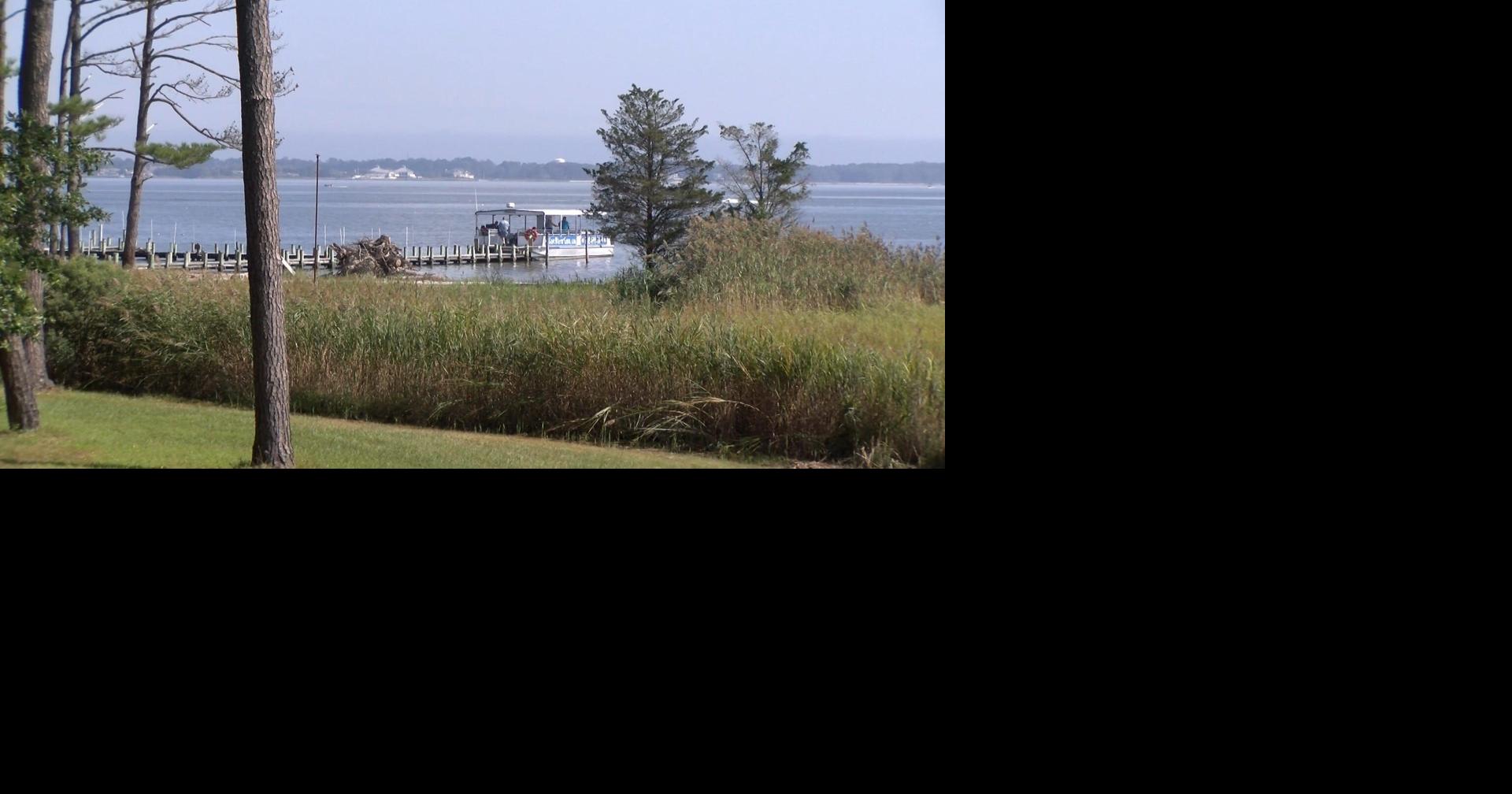 Delaware Center for the Inland Bays Publishes State of the Creek Report ...