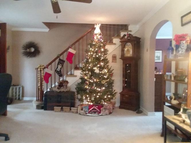Delmarva’s Holiday House 2019 – Week of Dec. 22-28 | Delmarvalife ...