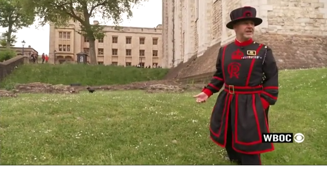 Britain's "Most Important" Job: The Royal Ravenmaster | Latest News ...