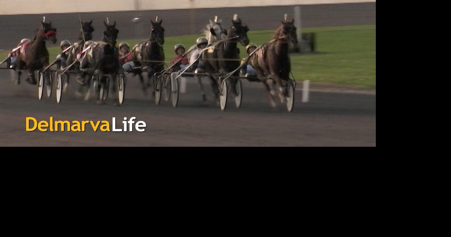 Celebrating 25 Years of Thrilling Harness Racing: Exclusive Interview ...