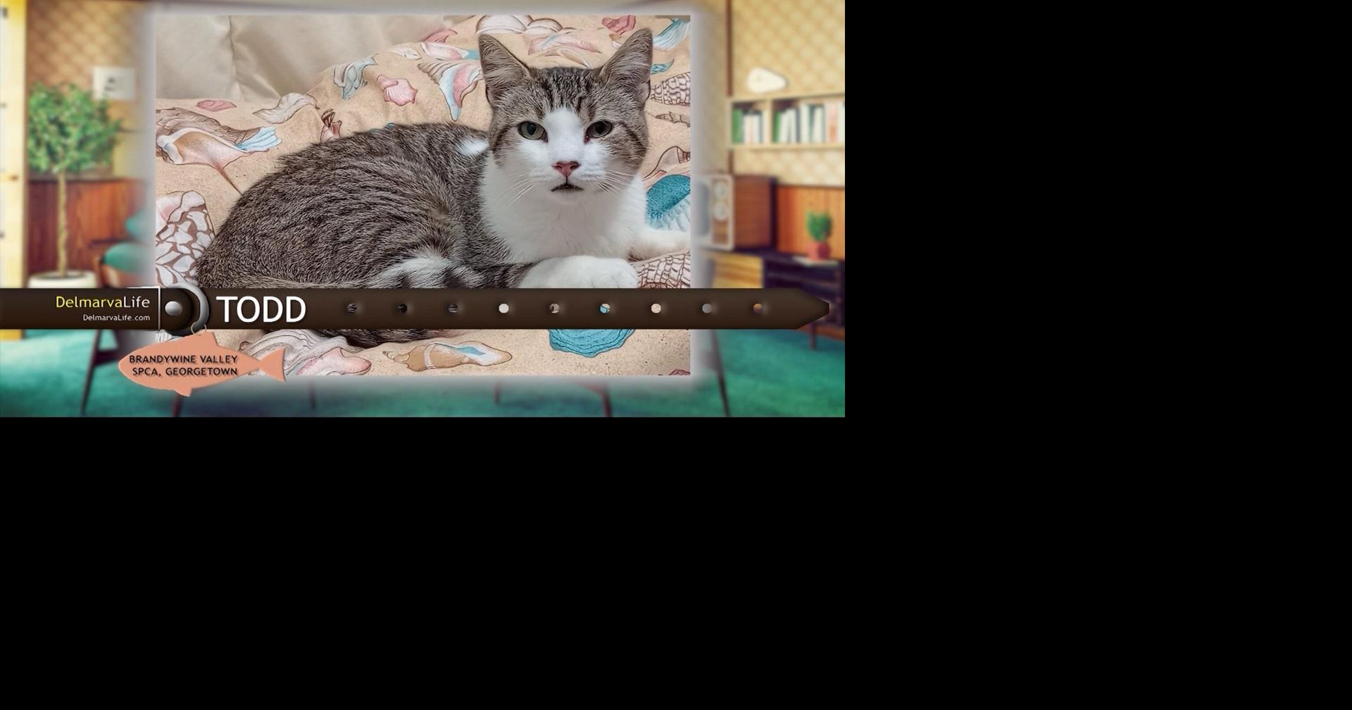 Pet Connect – April 14, 2023 | Delmarvalife | wboc.com