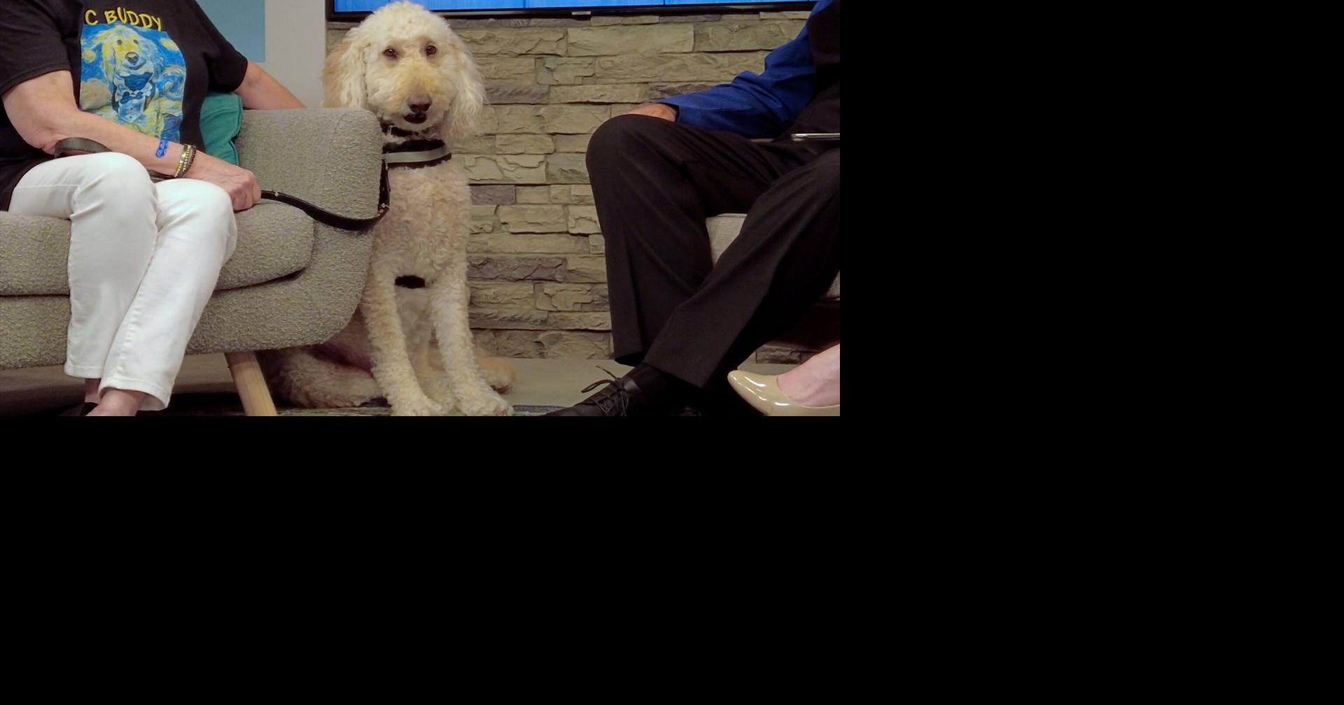 Dawn Butler & Her Trusty Dog O-C Buddy Stop By To Talk About Their New ...