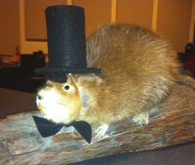 Princess Anne's Muskrat Dive Makes CNN's List of '19 Quirky New Year's ...