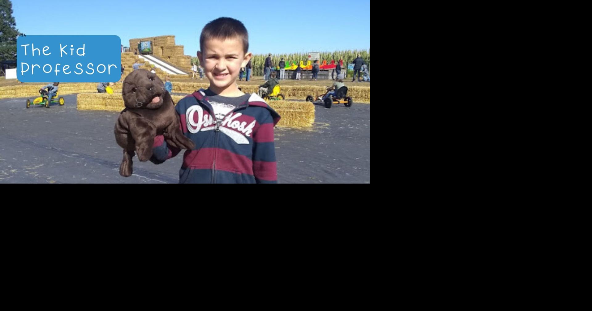 ‘The Kid Professor’ Bringing Smiles With Online Pep Talks | Community ...