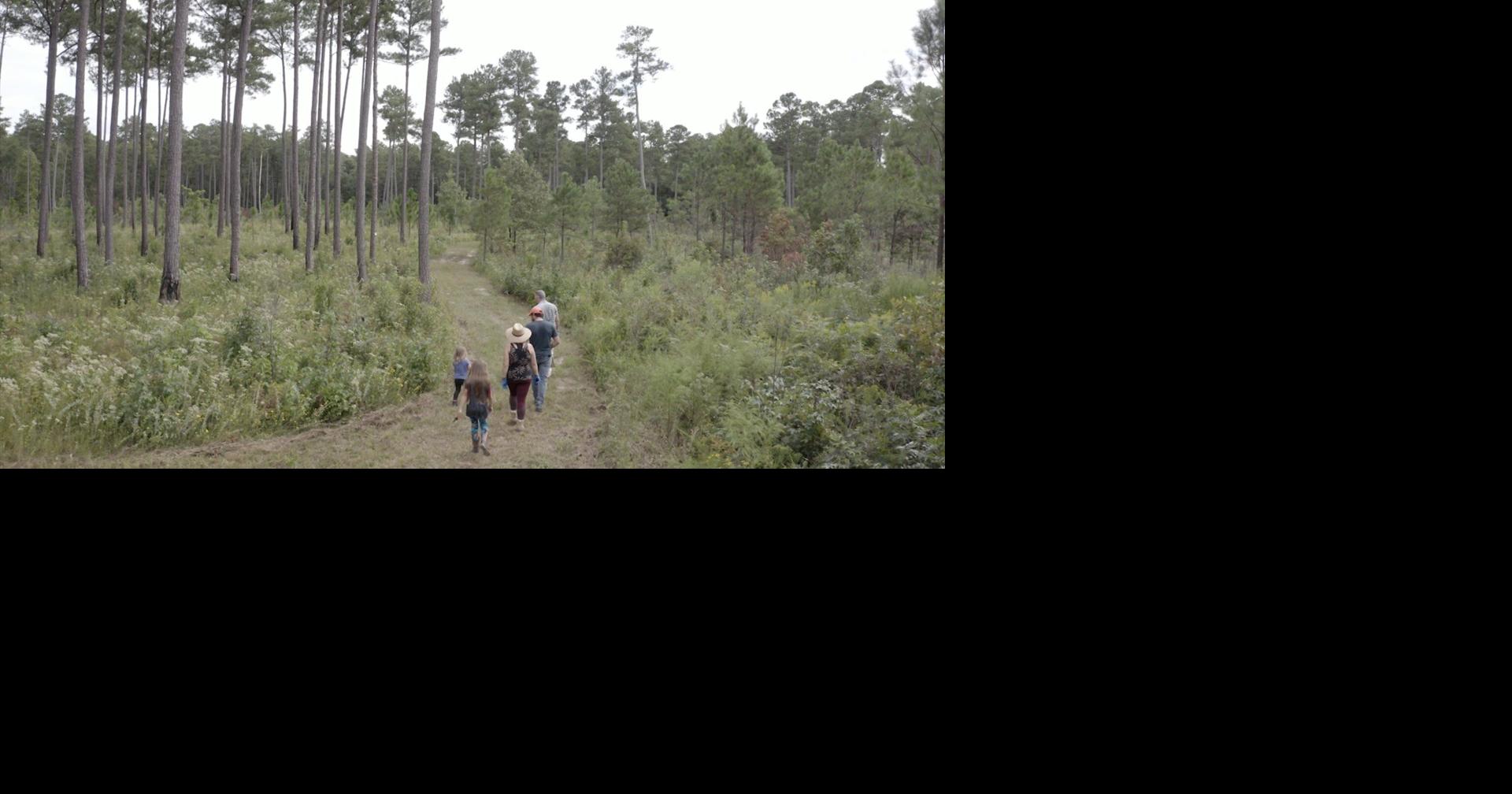 Come Participate In Longleaf Pine's Planting Event That Is Benefitting ...