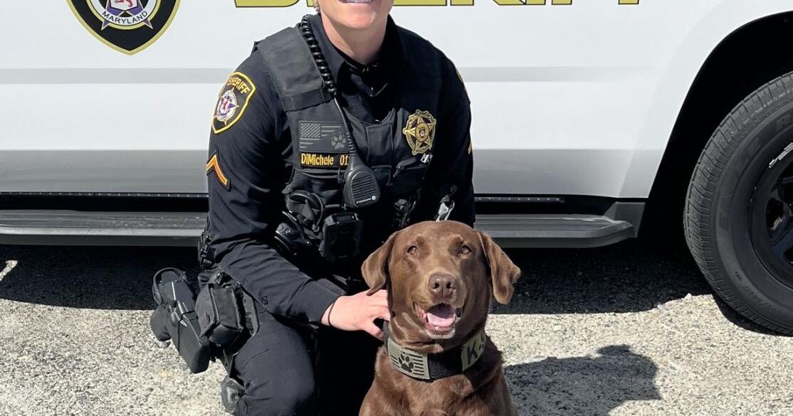 Three Talbot County Sheriff's K9s to get Protective Vests | Latest News ...