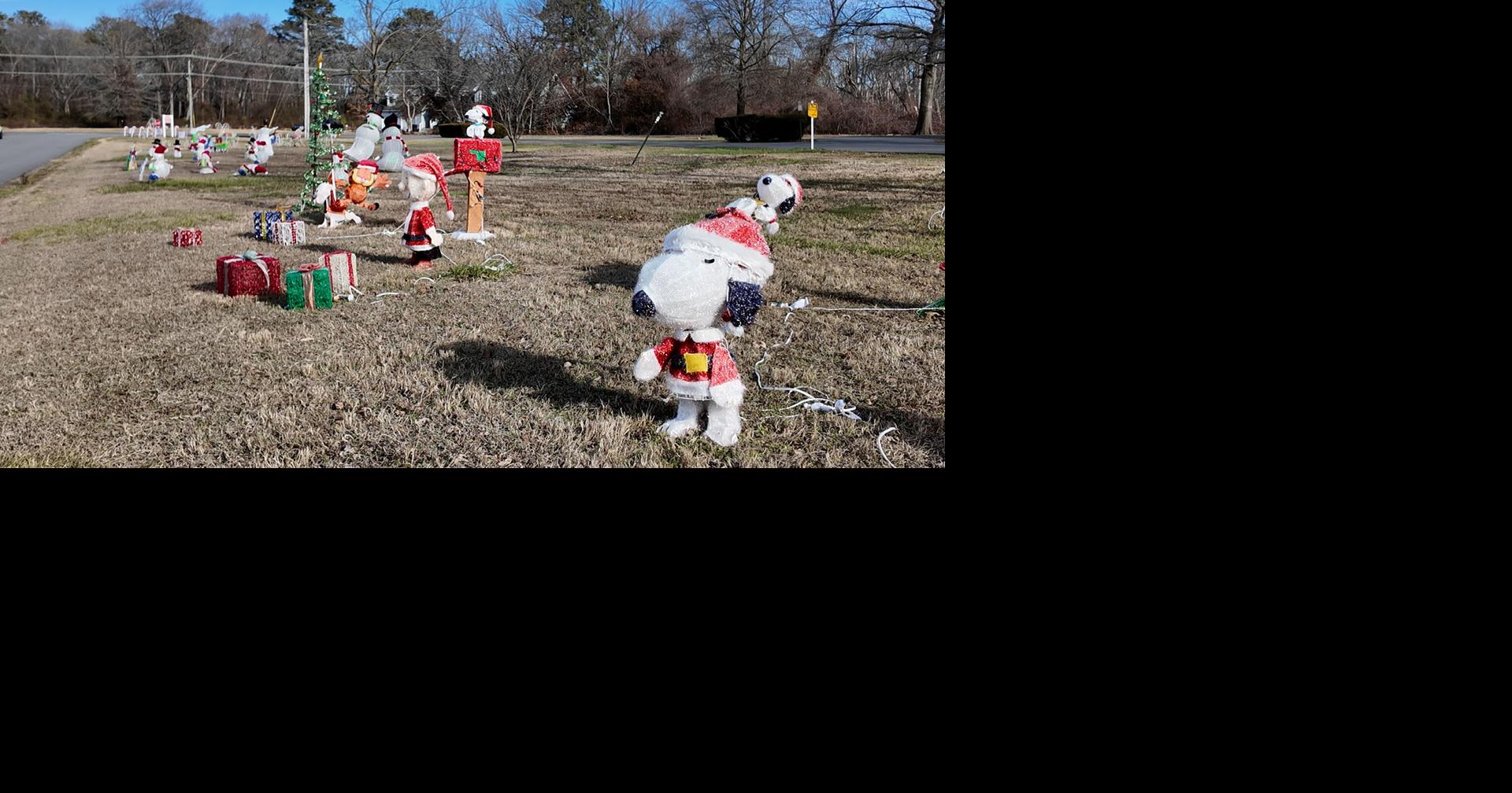 Merry Lane Accepting Decoration Donations in Sussex County | Latest ...