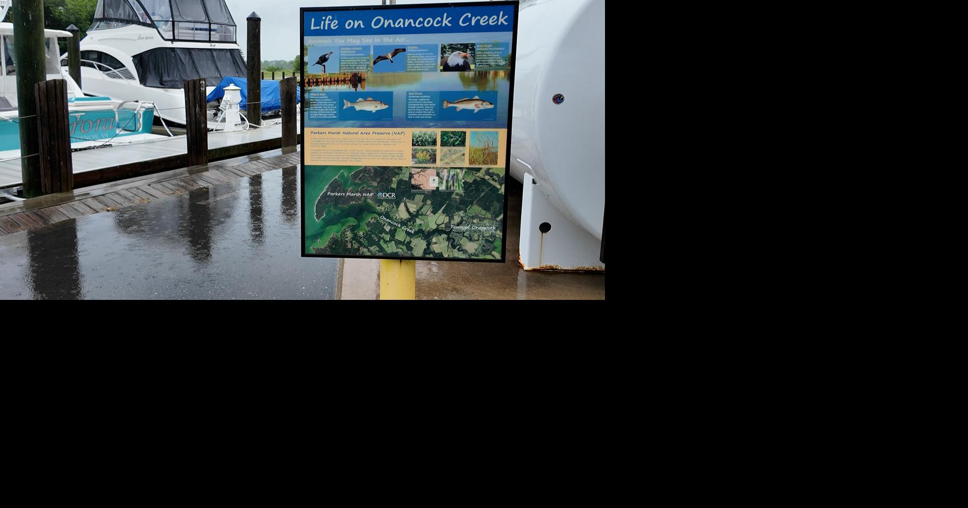 Wildlife Conservation to Regulate Beachgoing at Weir Point | Latest ...