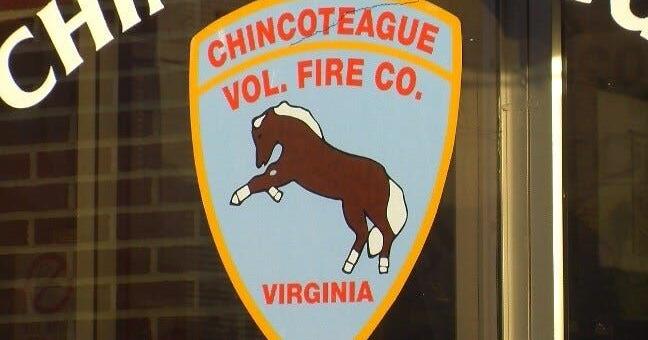 Chincoteague Pony Update: Elusive Stallion "At Large,” Three Ponies ...