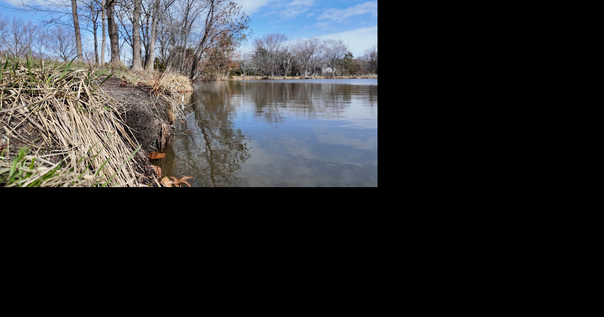 Lewes City Leaders Looking at Ways to Protect Blockhouse Pond from ...