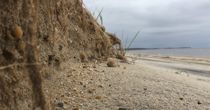 Shrinking Coastline Concerns Some Bowers Residents | Archive | wboc.com