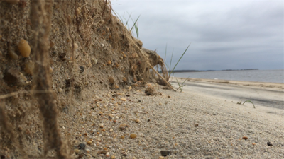 Shrinking Coastline Concerns Some Bowers Residents | Archive | wboc.com