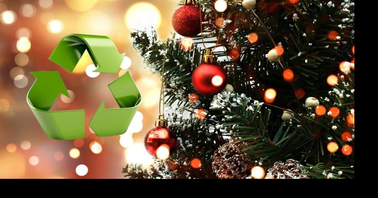 Ocean City announces details for free Christmas tree recycling | Latest ...