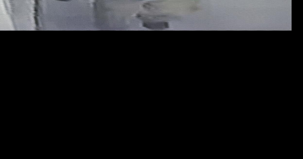 Easton Police Searching for Motel Armed Robbery Suspect | Latest News ...