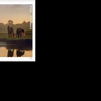 U.S. ‘Forever Stamp’ to Celebrate Assateague Island National Seashore ...