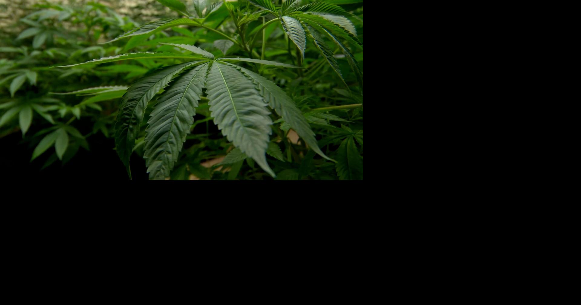 House Bill 110 Introduced to Address FBI Delays Stalling Delaware's ...