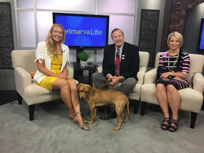 What’s Happening Today – July 18, 2018 | Delmarvalife | wboc.com