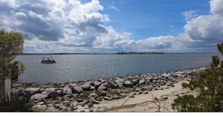 Inland Bays Get a “D” Rating in New State of the Delaware Inland Bays ...