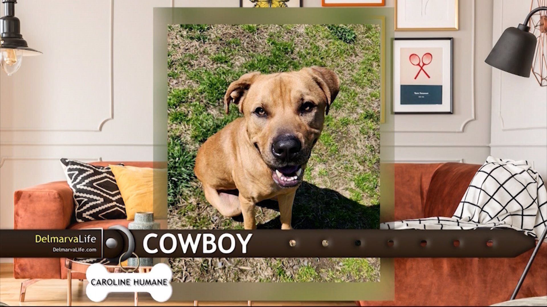 Delmarvalife | wboc.com