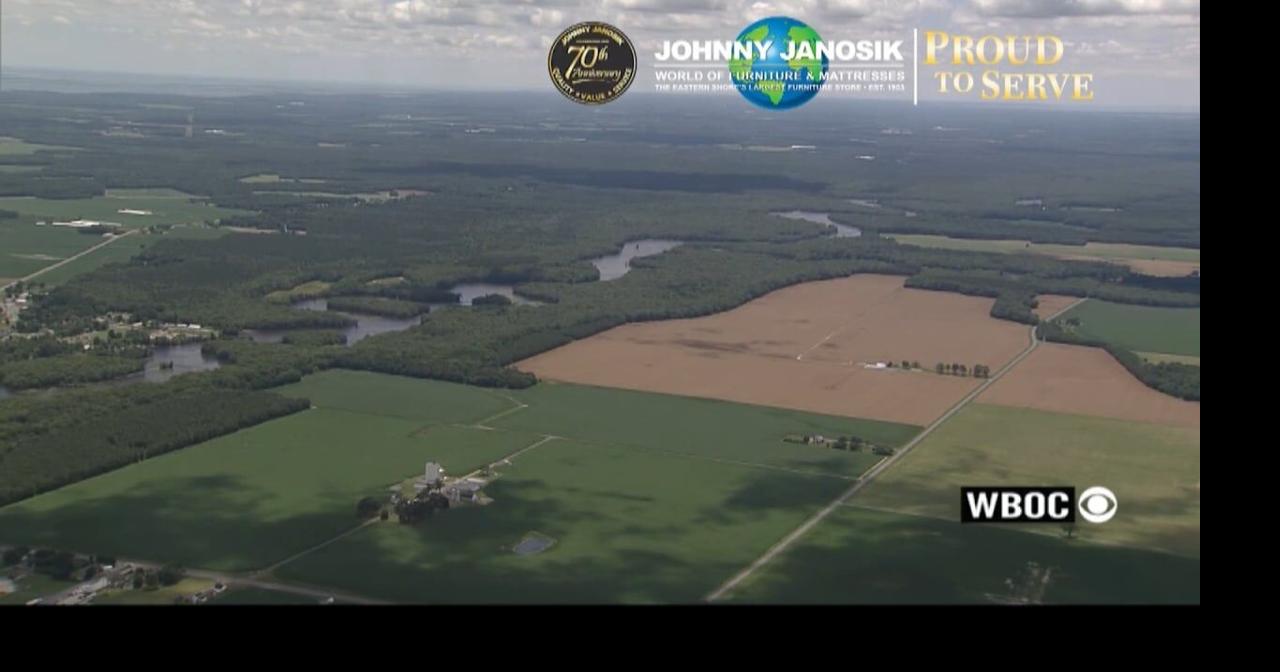 Proud to Serve: Pocomoke State Forest | Latest News | wboc.com