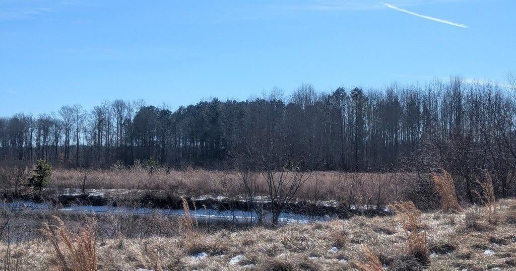 Environmental Restoration to Proceed at New Worcester County Trails ...