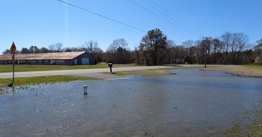 Persistent Flooding After Heavy Rain in Georgetown | Latest News | wboc.com