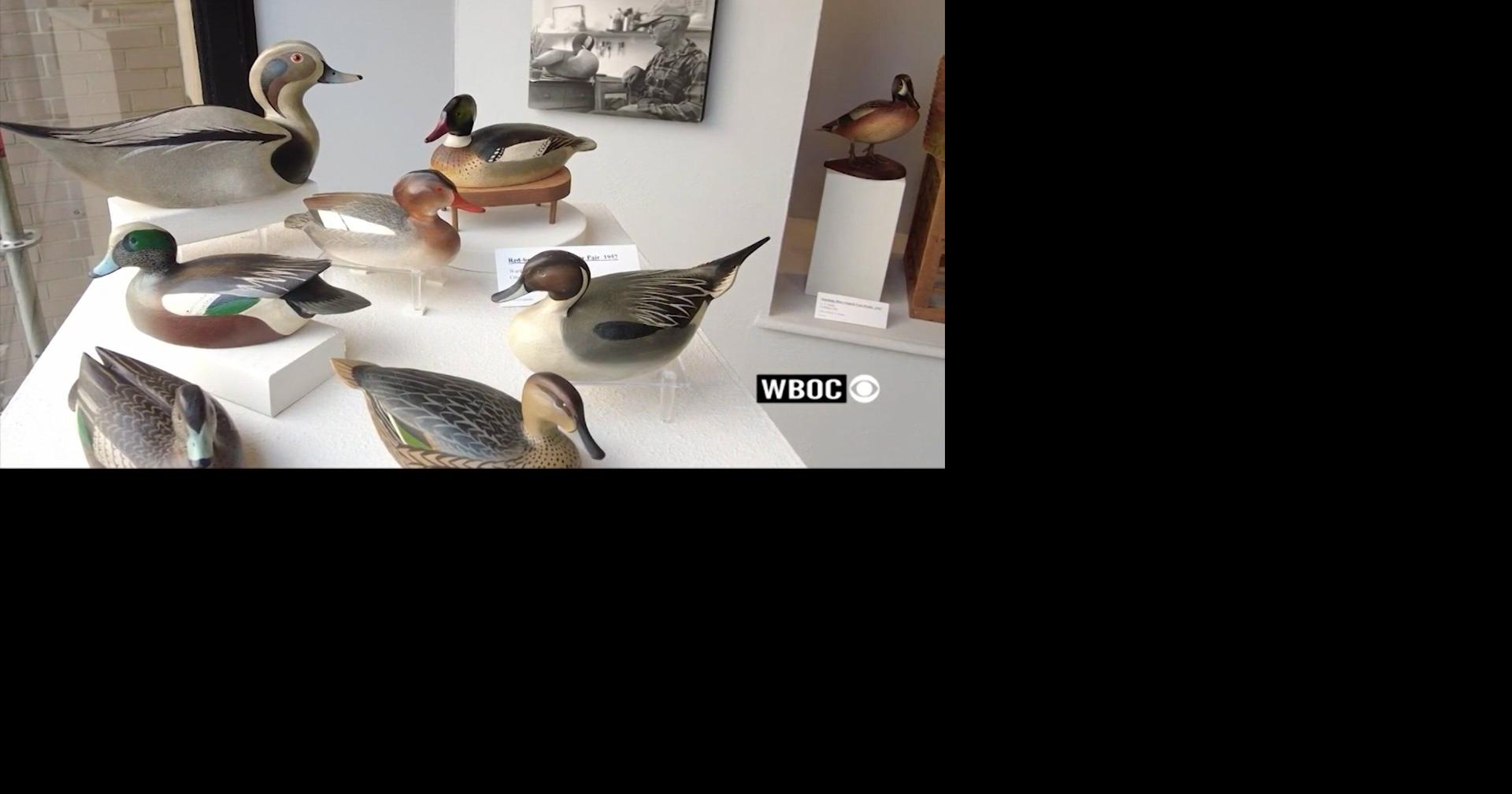 We Hear About The Upcoming Ward Brother's Collection Museum Exhibit ...