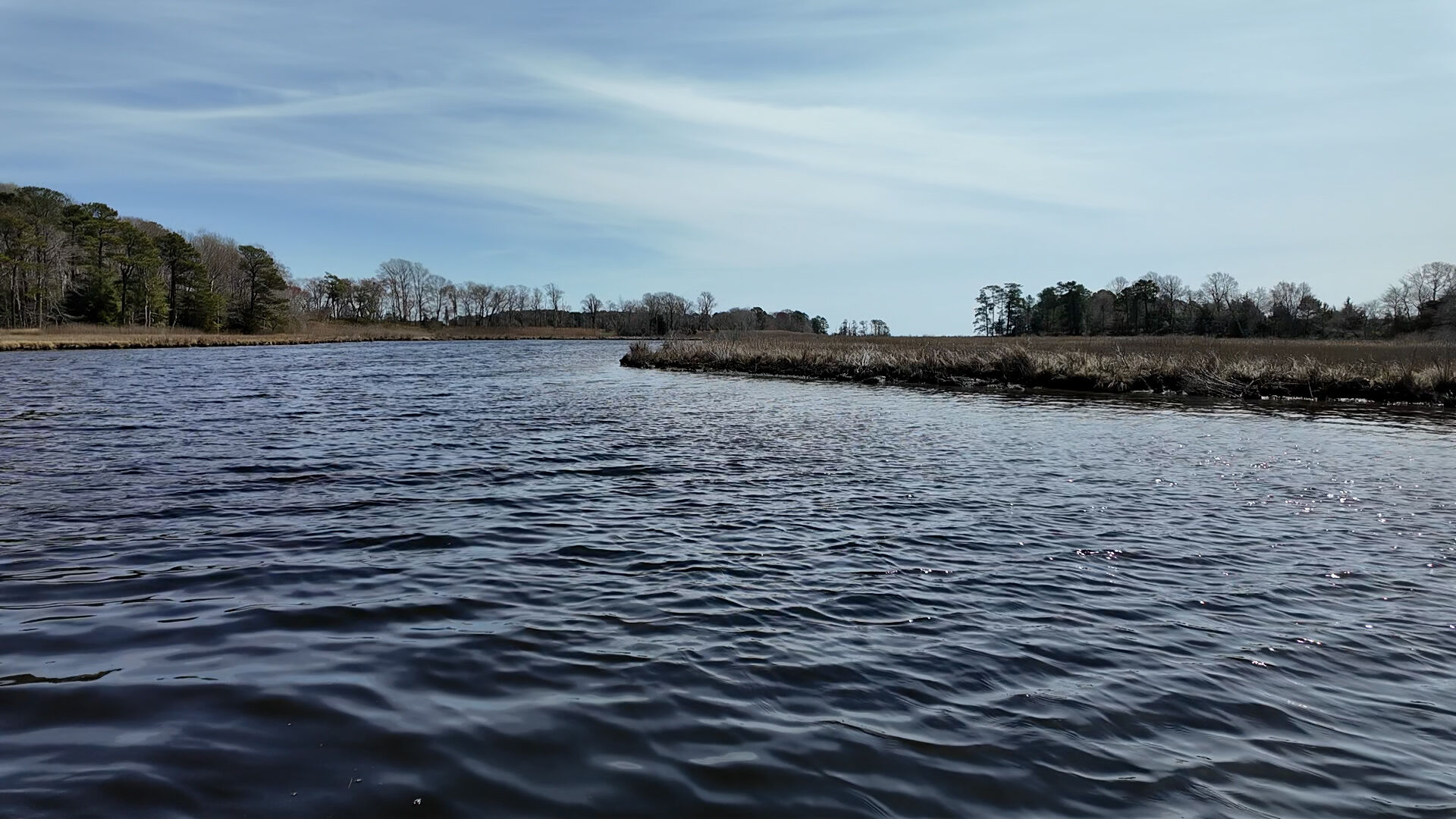 A Multi-Million Dollar Grant Is On Its Way To An Environmental Group In ...