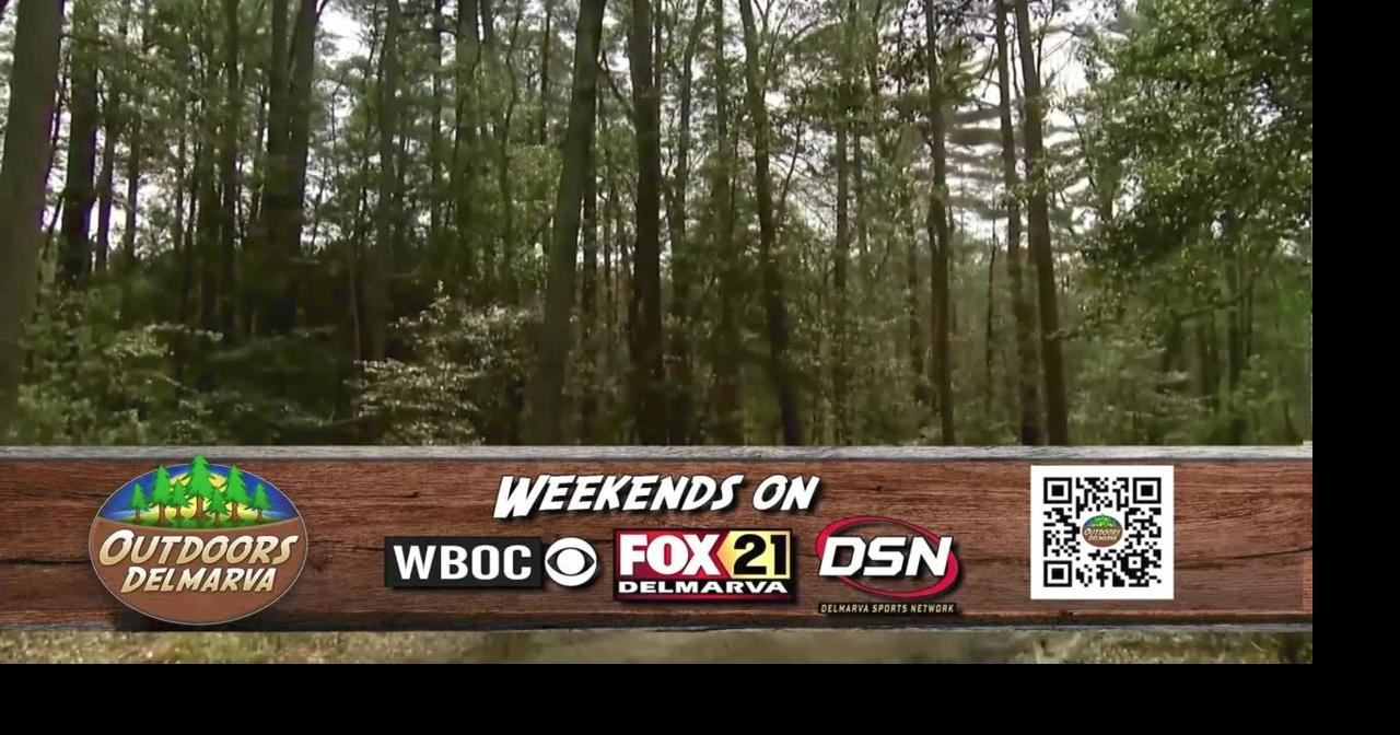 WBOC Sunday Morning News | Latest Newscasts | wboc.com