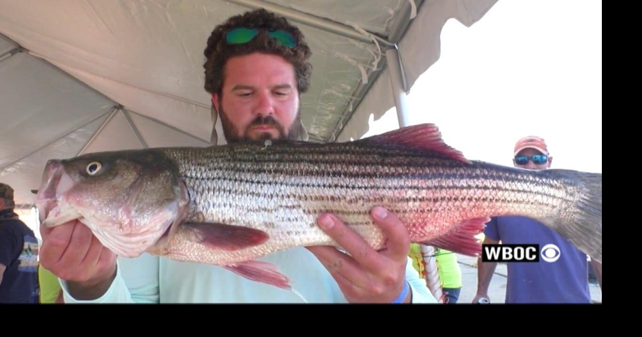 Could Electronic Reporting Become Mandatory For Commercial Watermen ...