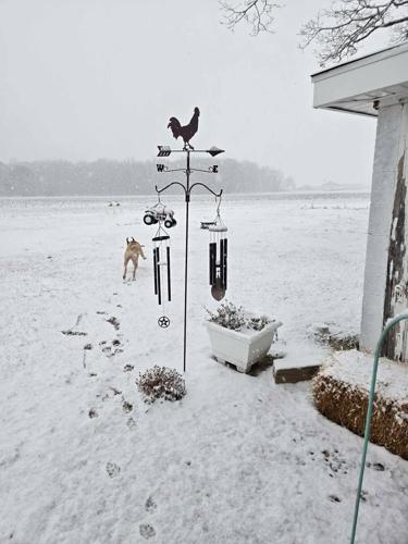 Delmarva Snow February 2025 | Latest News | wboc.com