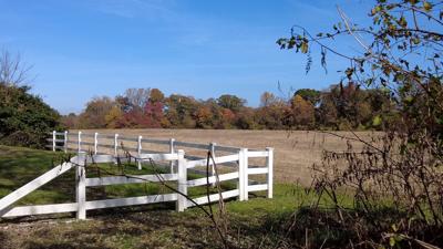Controversy With Proposed Carter Farm Development In Centreville ...