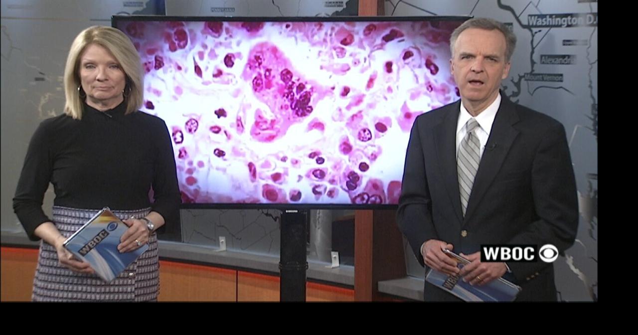 CDC On Front Lines Of Measles Outbreak | Latest News | wboc.com