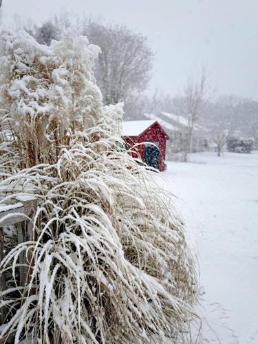 Delmarva Snow February 2025 | Latest News | wboc.com