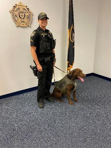 Three Talbot County Sheriff's K9s Get Body Armor Donation | Latest News ...