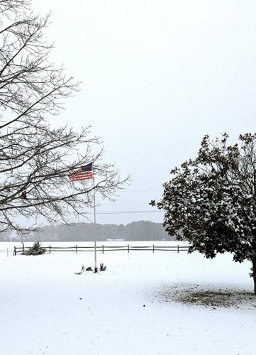 Delmarva Snow February 2025 | Latest News | wboc.com