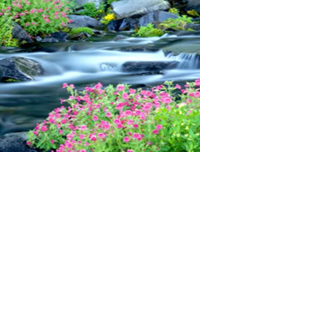 Tammy Jo Cannon | DELMARVA'S LEGACY | wboc.com