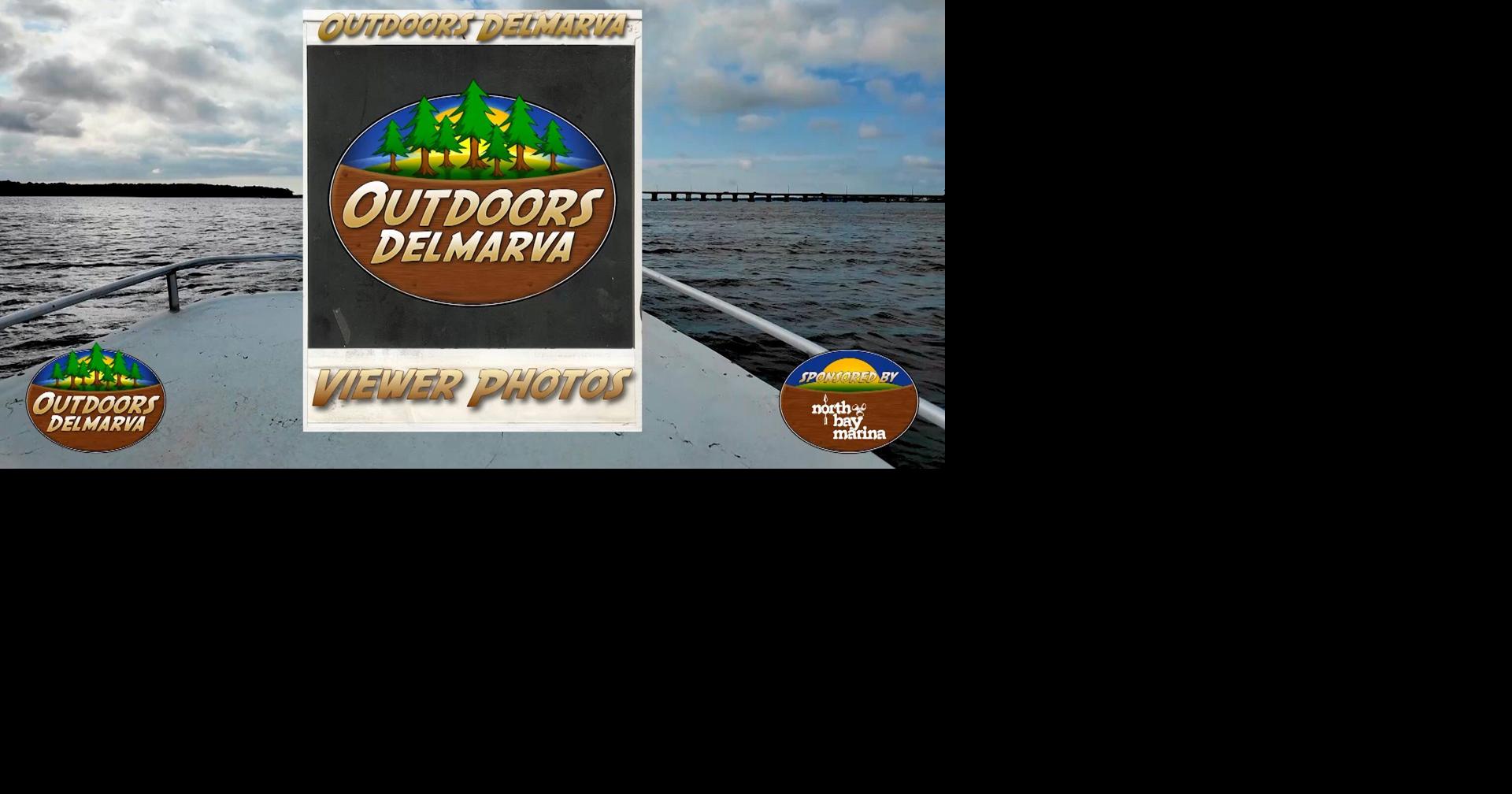 The Outdoors Delmarva Best of the First Half of 2024 Special (Part 5 ...