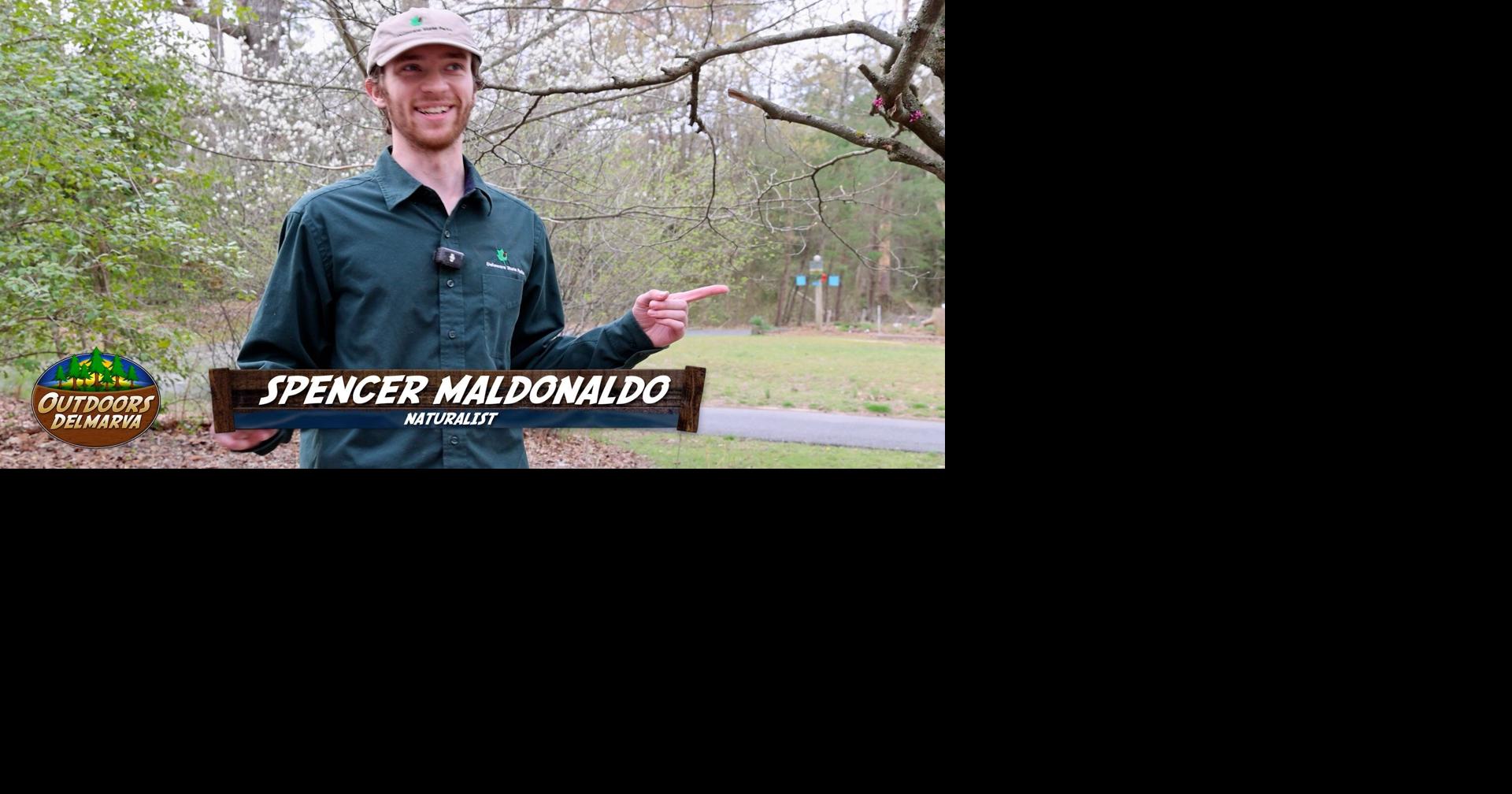 Native Tree Planting at Trap Pond State Park | Outdoors Delmarva | wboc.com
