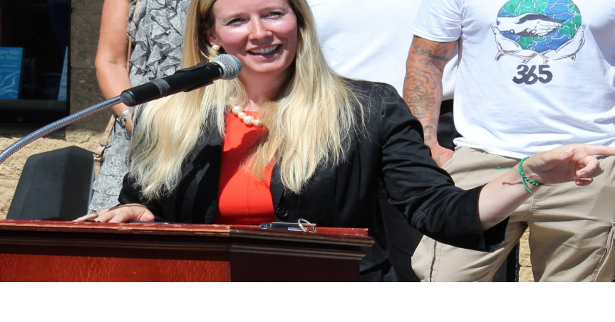 Delaware Treasurer Colleen Davis Announces Bid for Congress | Latest ...